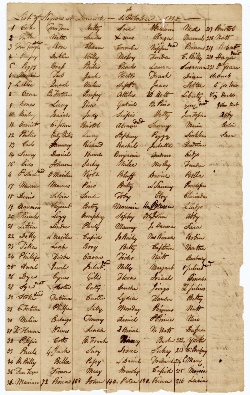 List of Enslaved Persons at Limerick, Quinby, and Jericho Plantations ...