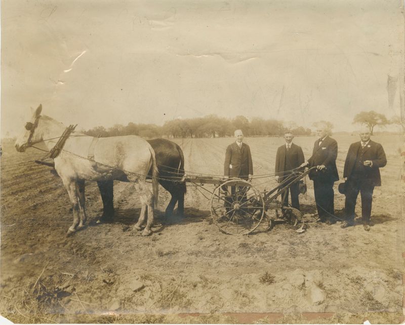 Cotton Chopping Machine and Cultivator - Lowcountry Digital Library ...